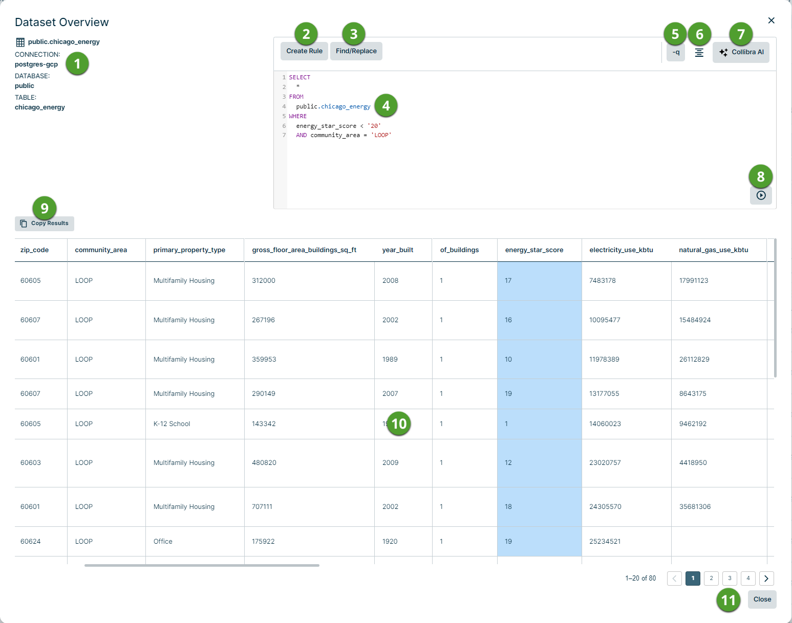 Dataset Overview